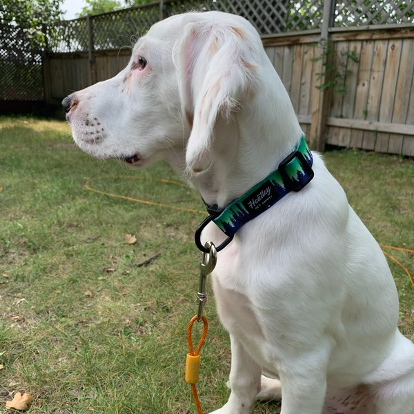 Treeline Dog Collar - Trees | Forest | Nature | Outdoors - Etsy