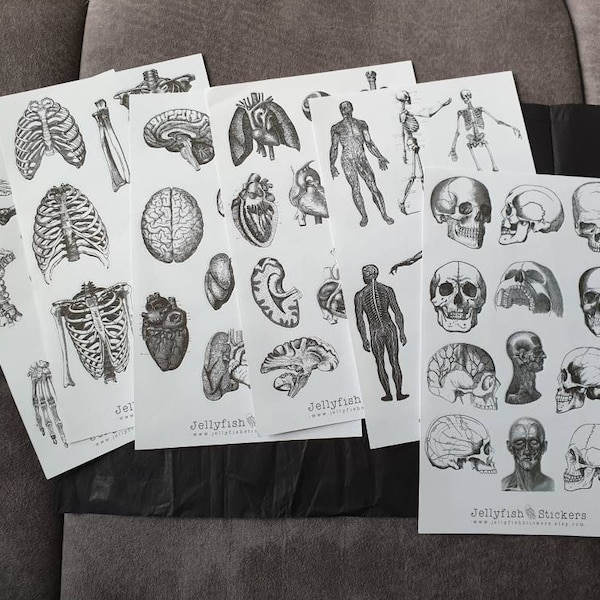 Vintage Anatomy Sticker Set Body Stickers, Journal Stickers, Bone ...