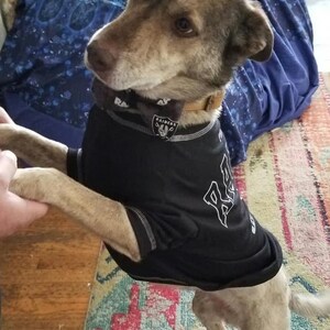 Colorful Neon Paw Print Pet Bow Tie Perfect for Dogs - Etsy