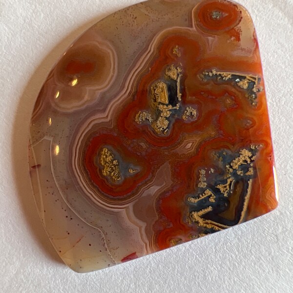 Stromatolite Collenia Undosa Fossil Proterozoic 2.1 B.y.o. 6.715cts ...