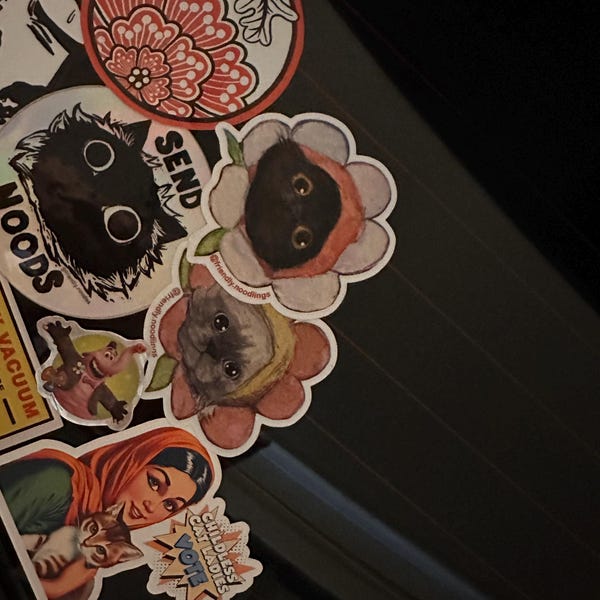 Raining Cats 12x20 Print, Internet Cats, Smudge, Lil Bub, Grumpy Cat ...