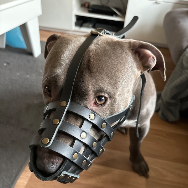 Leather Muzzle for Pitbull, Personalized Dog Muzzle Pitbull, Basket Dog ...