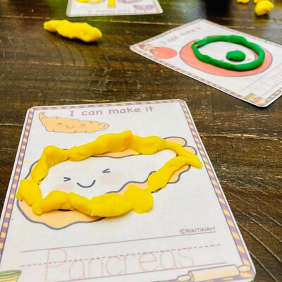 Human Organs Play Dough Mats Fine Motor Skills Preschool Printables ...