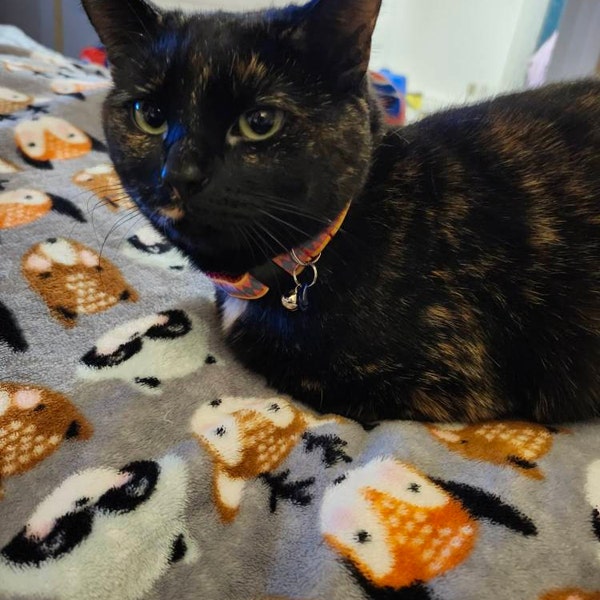 Beauty and the Beast Dog, Dog Leash , Belle's Dress , Belle , Disney ...