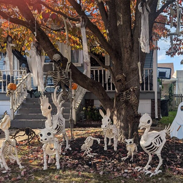 Party Arrows, Left, Right, UP, Customize, Personalize Comes With H ...