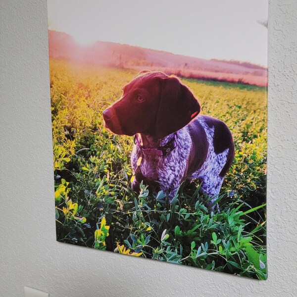 Custom Hexagon Family Photo Canvas Print - Etsy Canada