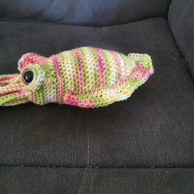 PATTERN ONLY Rainbow Cuttlefish Amigurumi Crochet - Etsy