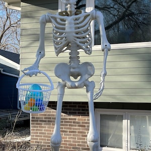 12 Ft Skeleton SWIM WEAR skeleton & Hats Not Included - Etsy