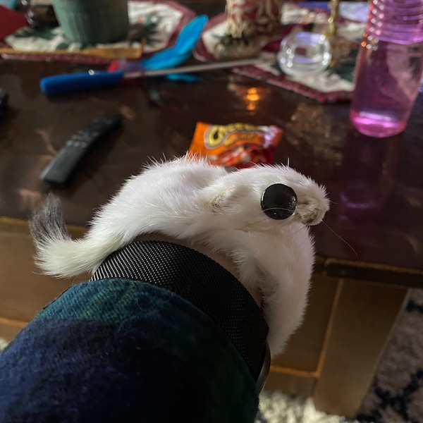 All Black Realistic Glass Eyes 6mm 8mm 10mm 12mm 14mm 16mm 20mm 25mm ...