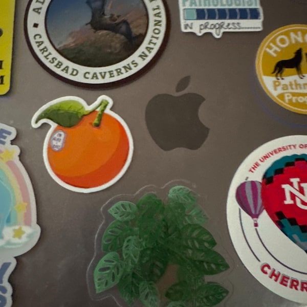 Monstera Adansonii Sticker, Swiss Cheese Plant Sticker, Clear Monstera ...