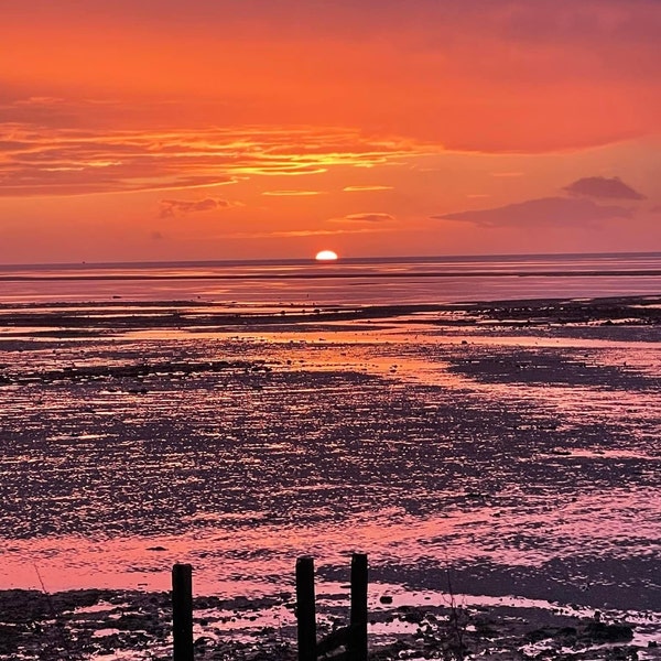 Rustic Bark Wooden Tree Trunk Letters Alphabet A-Z, Wood Wall Hanging ...