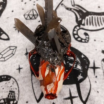 Animal Skull, Goth, Real Skull, Skull Jewelry, Oddities, Animal Bones ...