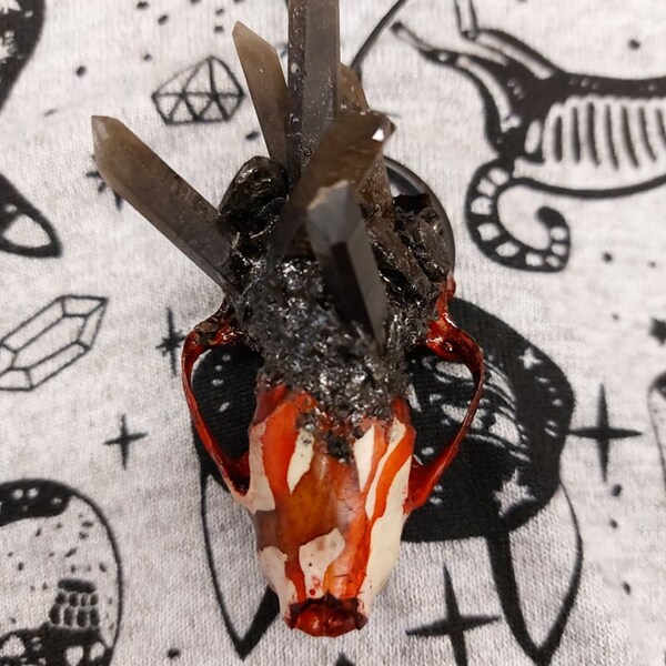 Bone Jewelry, Bone Ear Weights, Vertebrae, Vertebra, Gothic, Ear ...