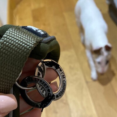 Funky Design Pet Dog ID Disc Tag. Stainless Steel Washer Style ...