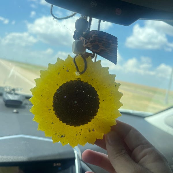 Pumpkin Vent Freshies, Air Vent Freshies, Wholesale Freshies/fall Car ...