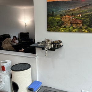 VHS Floating Shelf Wall Mount VHS Display Stand VHS Collection Display ...