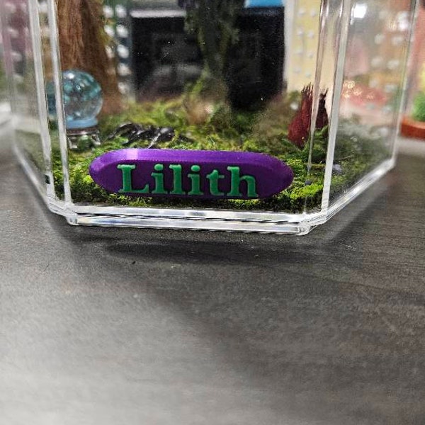 3D Printed Tree Bookshelf Jumping Spider Hide/decor - Etsy