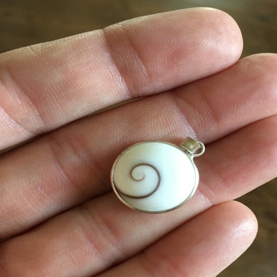 6 Mm. Natural Shiva Eye Shell With 925 Sterling Silver Post - Etsy