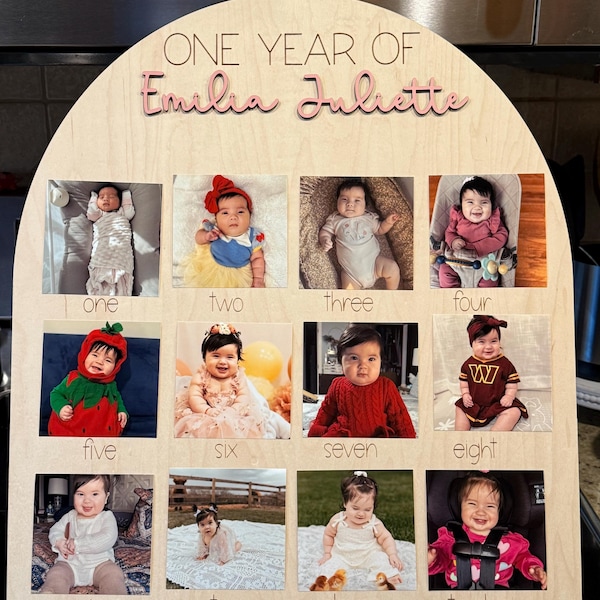 My First Year One Year of Photo Board Wooden Milestone Board 1st ...