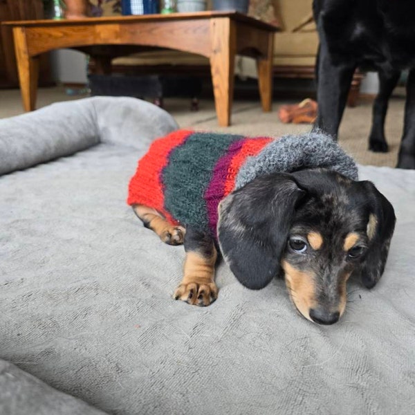 KNITTING PATTERN, Fuzzy Dachshund Sweater, Oversized, Dog, Sweater, Pet ...