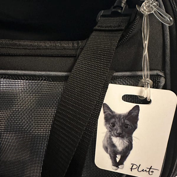 Custom Golf Cart Shuttle Pick up Sign, Personalized Wedding Shuttle ...