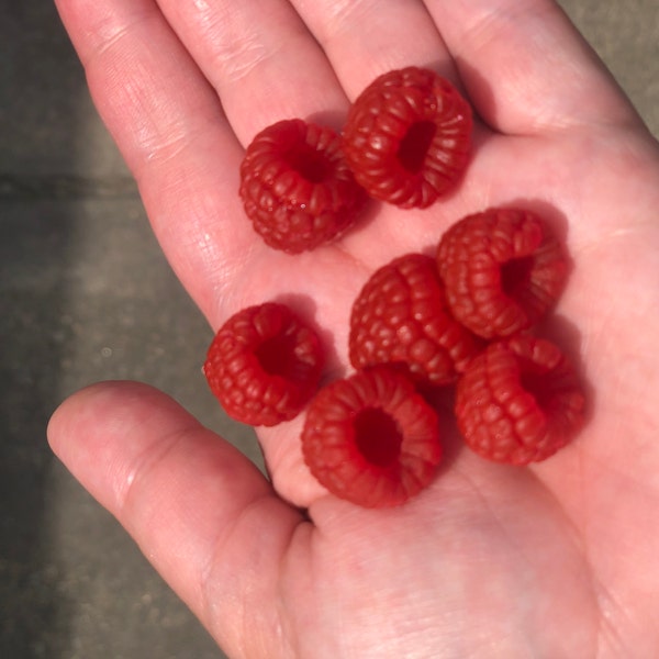 Realistic Raspberry Silicone Mold, Blackberry Silicone Mold, - Etsy