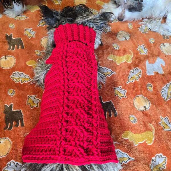 Jax Cable Crochet Dog Sweater - Etsy