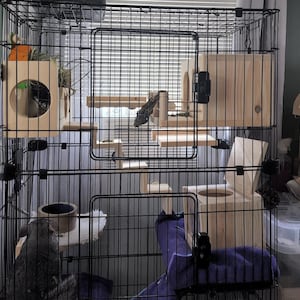 Chinchilla Hut Hideout House Free Standing House for Chinchilla Kiln ...