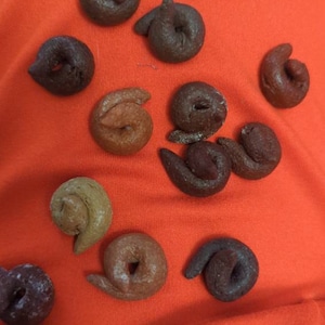 Handcrafted Caterpillars, Wingspan Food Token, Board Game Pieces ...