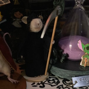 Taxidermy Mouse Pope Francis | Etsy