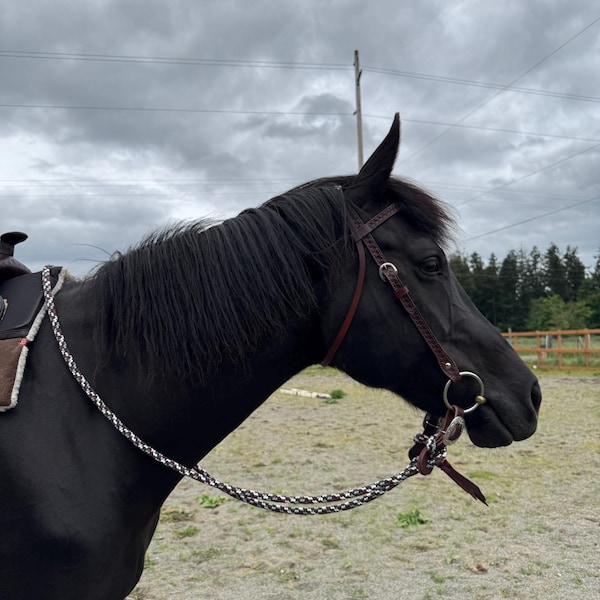 Yacht Rope Sport Mecate Reins W Poppers! Use With Slobber Straps ...