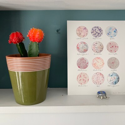 Microbe Collection, Bacteria, Bacteria Art, Science, Science Art ...