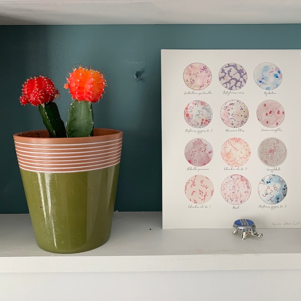 Microbe Collection, Bacteria, Bacteria Art, Science, Science Art ...