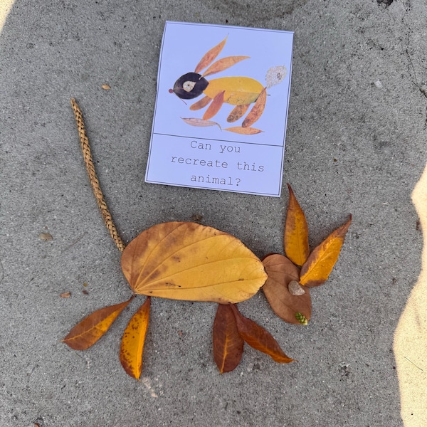 NATURE INSPIRED Educational Poster Pack - Nature School- Homeschool ...