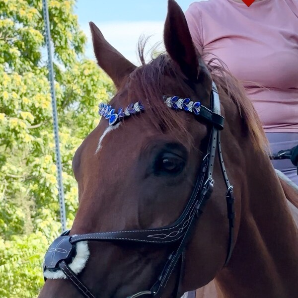 Anatomical Working Hunter Leather Bridle Cavesson Padded Cutaway ...