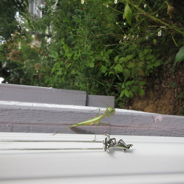 Praying Mantis Necklace Praying Mantis Jewelry Insect Jewelry Bug ...