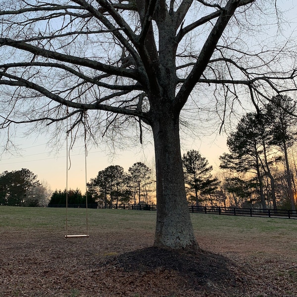 Handcrafted Wooden Tree Swing, Natural or Charred, Rope Included - Etsy