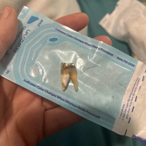 10 CRACKED AND BROKEN Real Human Teeth Molars, Premolars, & Anteriors ...