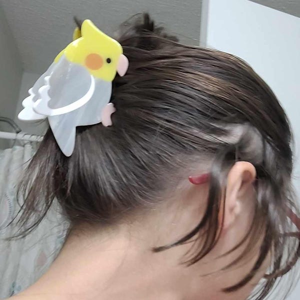 8-bit Birbs Poster - Etsy