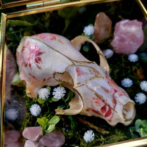 Crocodilian Scute Fossil (osteoderm Armor) - Lance Fm. - Niobrara Co ...