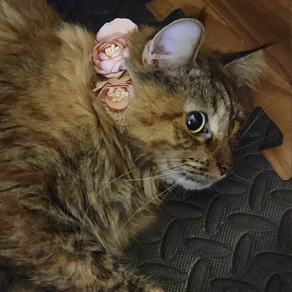 Cat Collar,rose Flower Kitten Collar,small Dog Wedding Collar.kitten ...