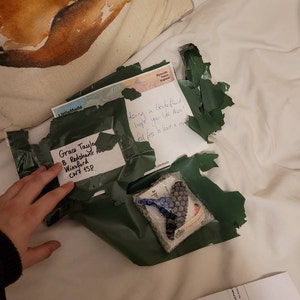 Lesbian Pride Stingray - Etsy