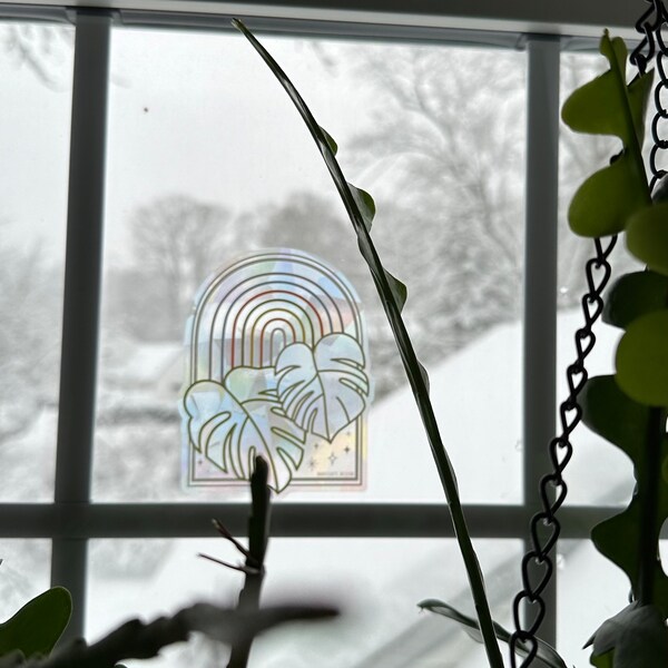 STICKER | Rainbow Monstera | Rainbow Making Suncatcher Window Decal - Etsy
