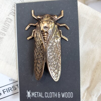 Cicada Pin, Insect Pin, Insect Brooch, Bug Pin, Bug Jewelry, Insect ...