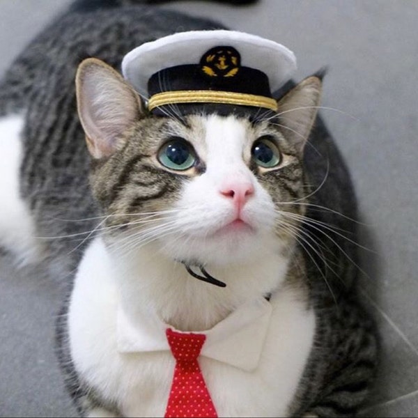 Marine Captain Mini Hat - Cat Captain Hat - Original Design - Pet ...
