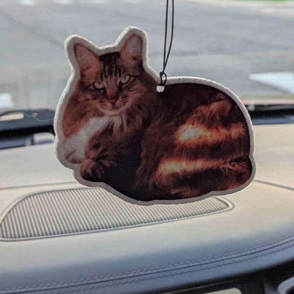 Funny Air Freshener - Flaming Eye Freshener - Cute Air Freshener - Cool ...