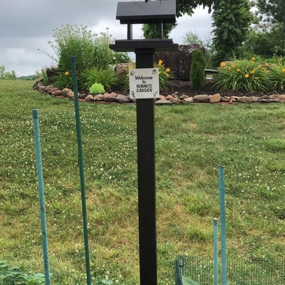 Toad Abode Funny Garden Sign Toad House Garden Sign Cute Gift for ...