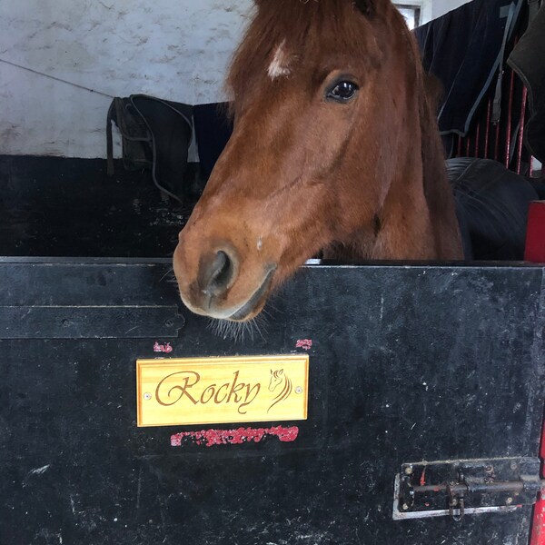 Horse Name Plate Stable Door Sign Plaque (vivaldi Font & Dressage Logo ...
