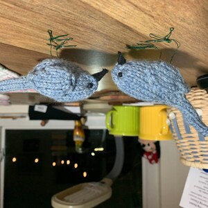 Cockatiel Knitting Pattern Cute Bird Knitting Pattern Jarvis Cockatiel ...