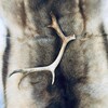Reindeer Antler Petroglyph Bracelet Sami Witchcraft - Etsy Canada